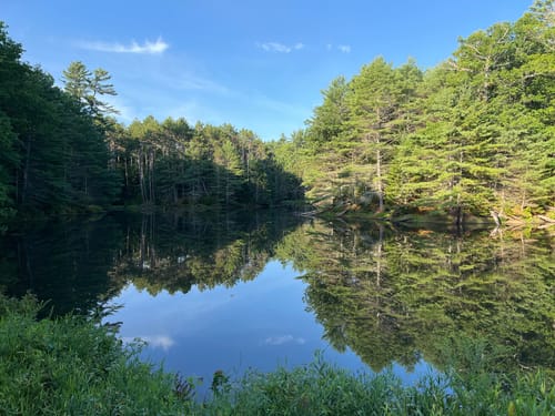 2023 Best Snowshoeing Trails in Walpole | AllTrails