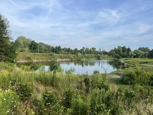 Best Hikes and Trails in Acacia Reservation | AllTrails