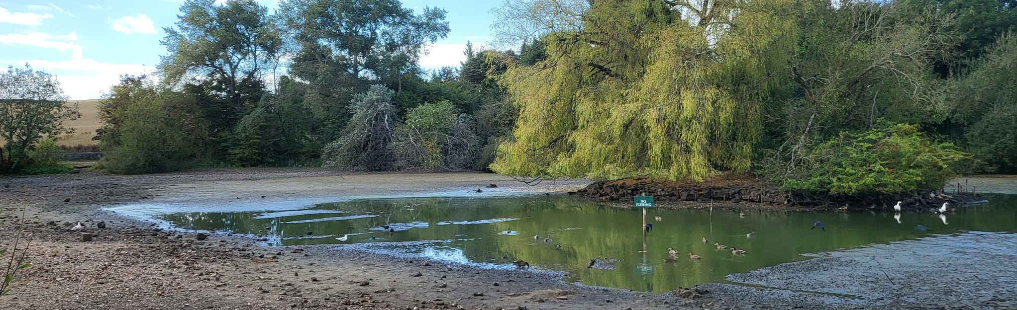 Falmer Duck Pond Circular: 4 Reviews, Map - East Sussex, England ...