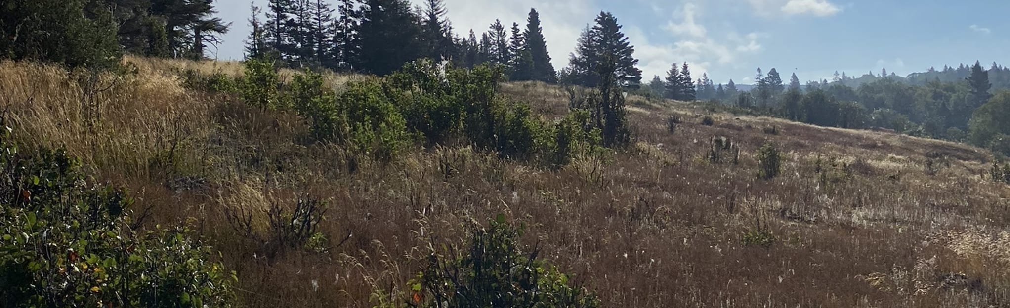 Feldtmann Ridge Trail: 19 Reviews, Map - Michigan | AllTrails