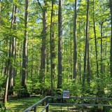 Cache River and Heron Pond State Natural Areas, Illinois - 142 Reviews ...