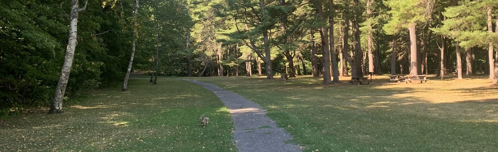 John Boyd Thacher Yellow Trail Loop, New York - 108 Reviews, Map ...