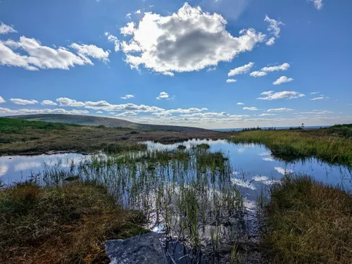 2023 Best 10 Forest Trails in Urho Kekkonen National Park | AllTrails