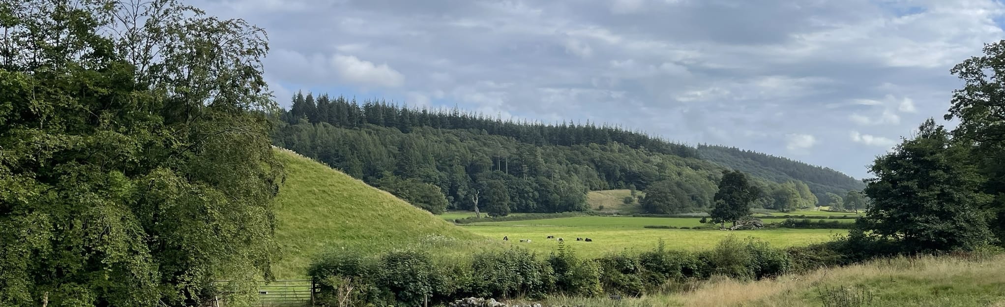 Grizedale, Parkamoor and Satterthwaite Circular, Cumbria, England - 14 ...