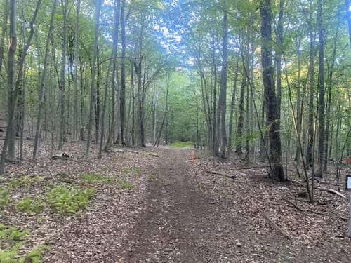 Best Hikes and Trails in Angle Fly Preserve | AllTrails