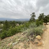 Palmer Park Outer Loop Trail, Colorado - 656 Reviews, Map | AllTrails