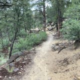 Palmer Park Outer Loop Trail, Colorado - 656 Reviews, Map | AllTrails