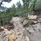 Palmer Park Outer Loop Trail, Colorado - 656 Reviews, Map | AllTrails