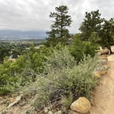 Palmer Park Outer Loop Trail, Colorado - 656 Reviews, Map | AllTrails