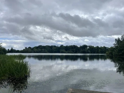 Best Hikes and Trails in Bolam Lake Country Park | AllTrails