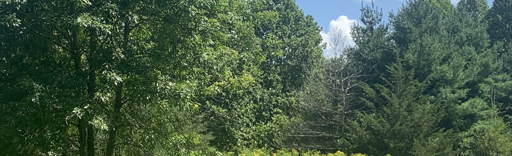Donald D. Wilson Walking Trail: 80 Reviews, Map - Maryland | AllTrails