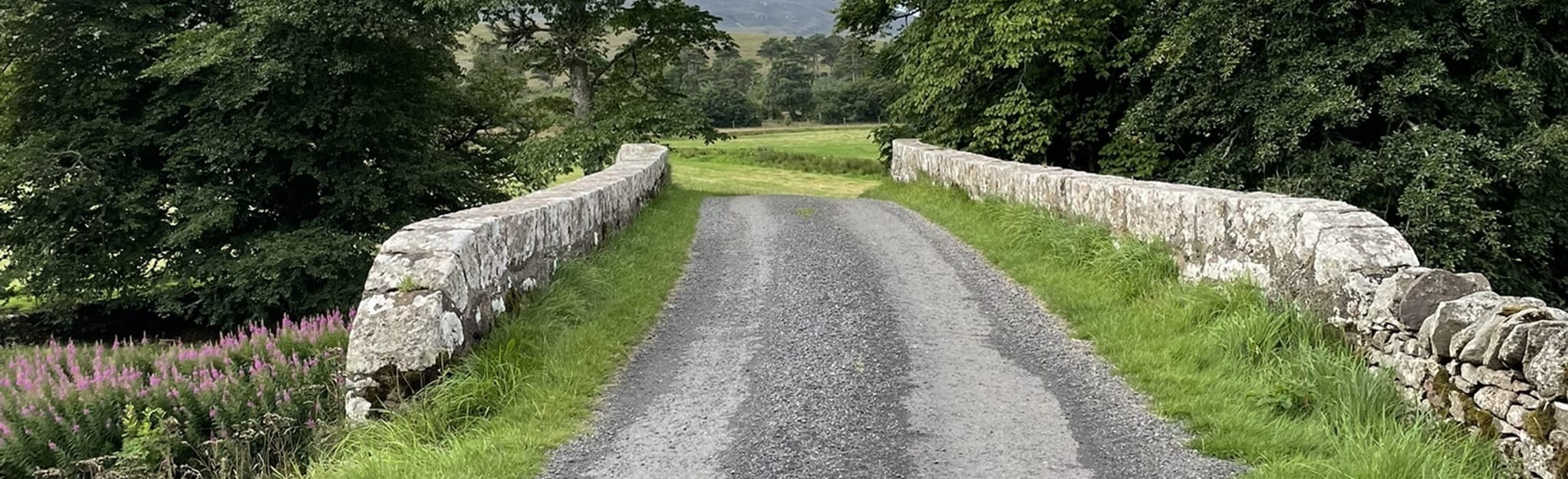 Morven, Highlands, Scotland - 4 Reviews, Map | AllTrails