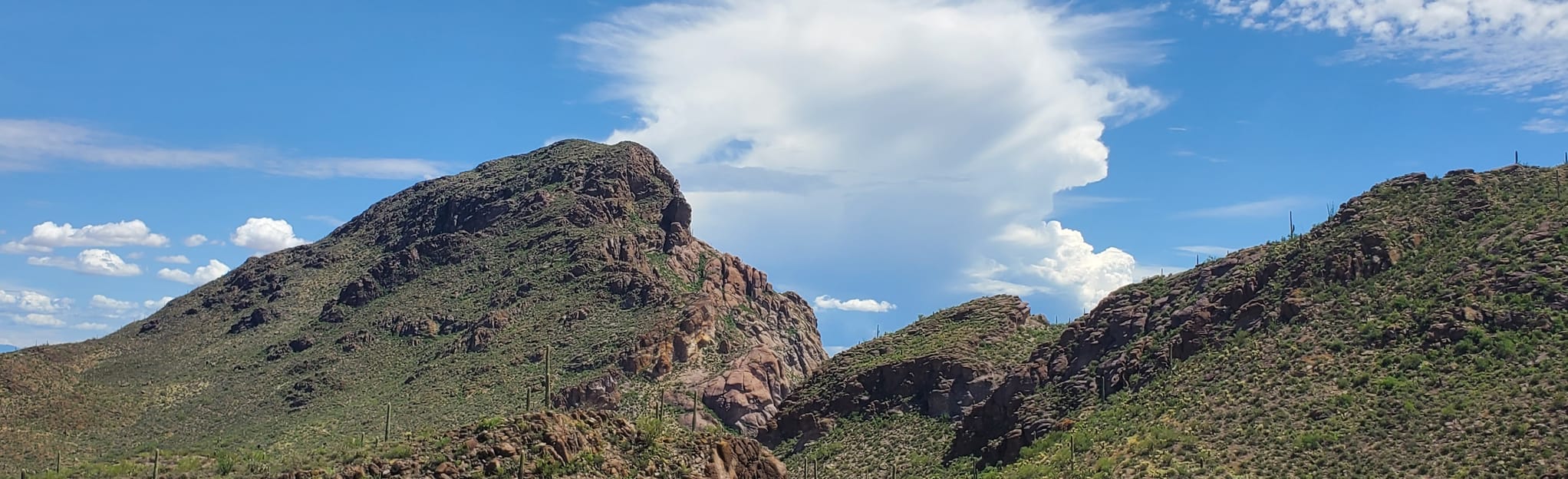 Bobcat Ridge and Starr Pass Trail Loop - Arizona | AllTrails