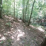 Birdsboro Waters Loop, Pennsylvania - 305 Reviews, Map | AllTrails