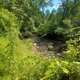 Birdsboro Waters Loop, Pennsylvania - 305 Reviews, Map | AllTrails