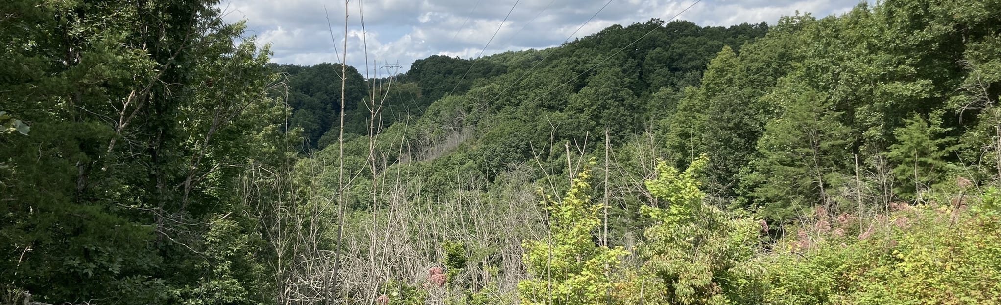 Sheltowee Trace NRT - Northern Terminus to Cave Run Lake | Map, Guide ...