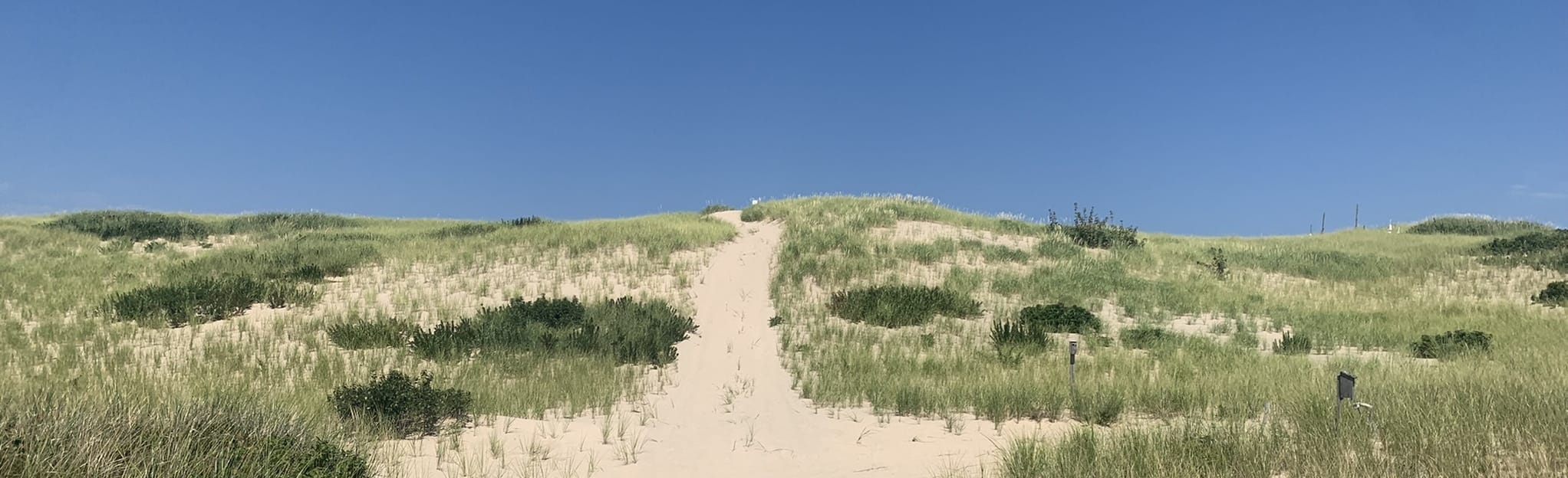 Sand Dune Trail: 658 Reviews, Map - Massachusetts | AllTrails