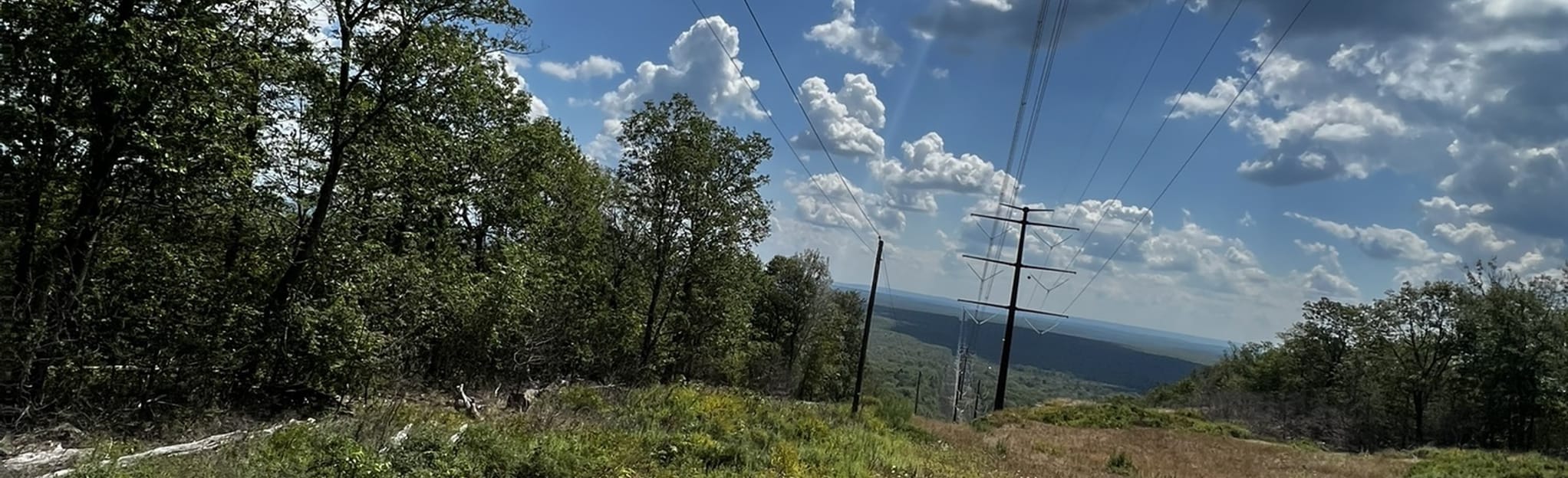 High Knob, Pennsylvania - 29 Reviews, Map | AllTrails