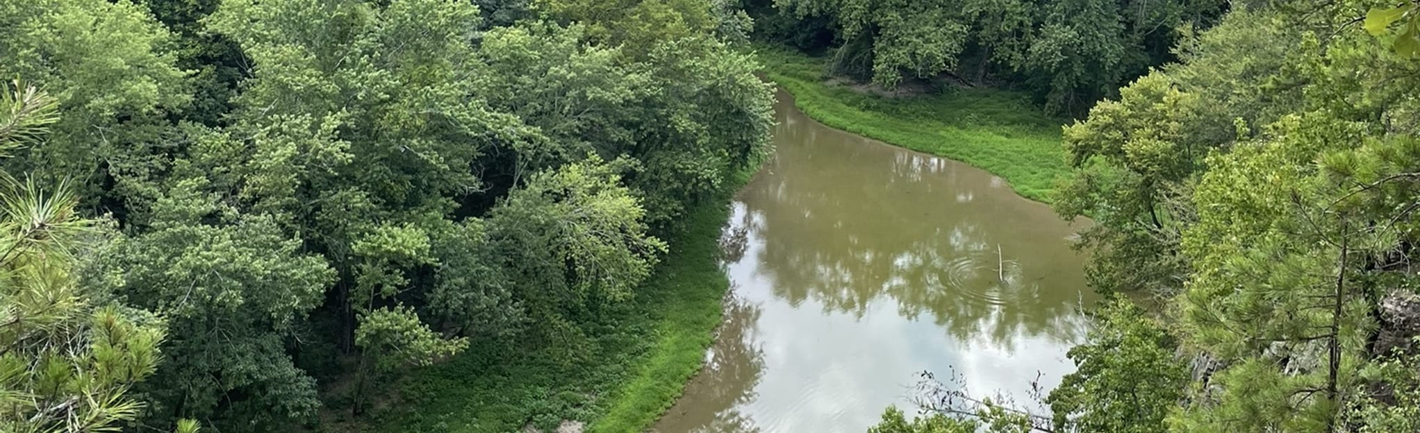 Womble Trail, Arkansas - 34 Reviews, Map | AllTrails