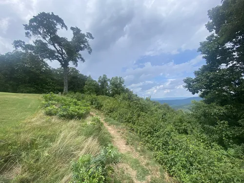 10 Best Trails and Hikes in Sewanee | AllTrails