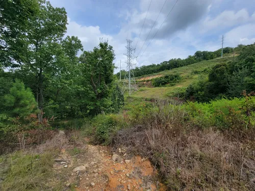 Best Hikes and Trails in Coldwater Mountain State Forest | AllTrails