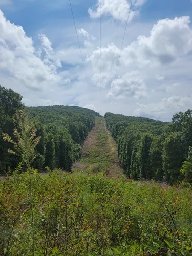 Best Hikes and Trails in Coldwater Mountain State Forest | AllTrails