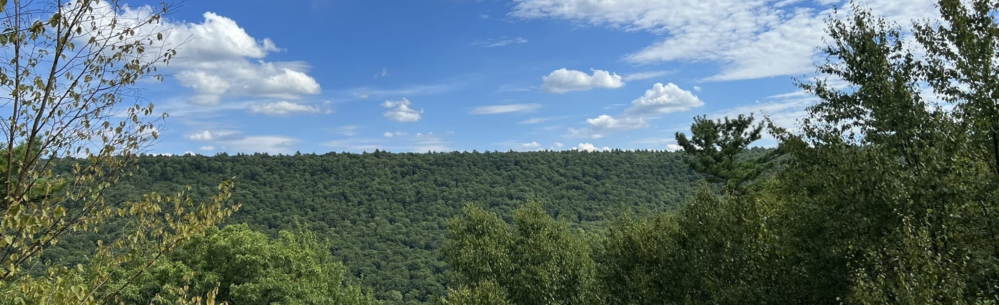 Little Shingletown Trail: 13 Reviews, Map - Pennsylvania | AllTrails