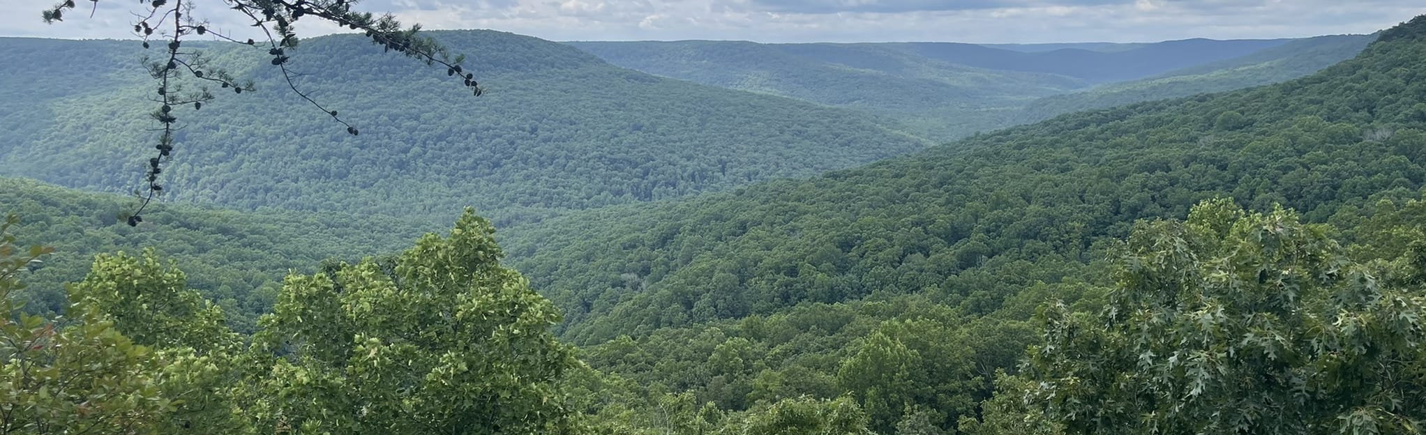 Virgin Falls Trail to Upland Trail Loop - Tennessee | AllTrails