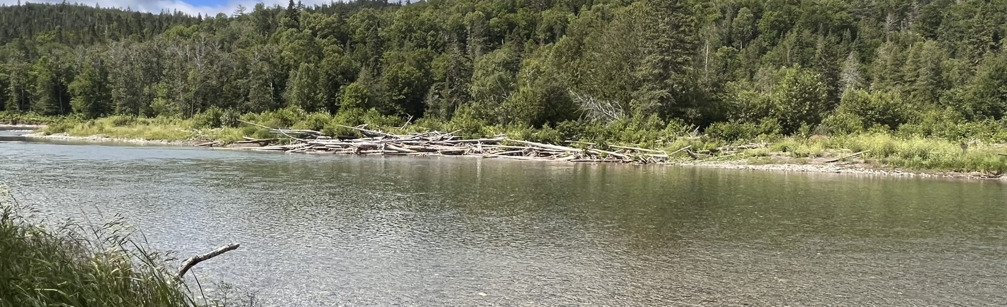 Pin Rouge Loop, Quebec, Canada - 26 Reviews, Map | AllTrails