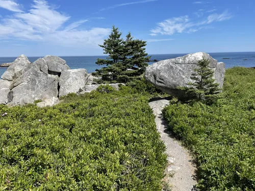10 Best Hikes and Trails in Kejimkujik National Park | AllTrails