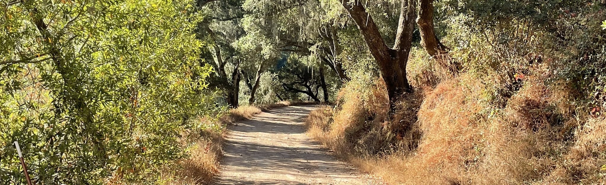 Refugio Road, California - 94 Reviews, Map | AllTrails