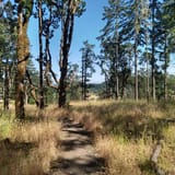 Bald Hill Natural Area Loop, Oregon - 341 Reviews, Map | AllTrails