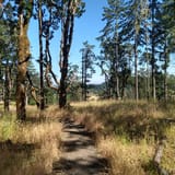 Bald Hill Natural Area Loop, Oregon - 341 Reviews, Map | AllTrails