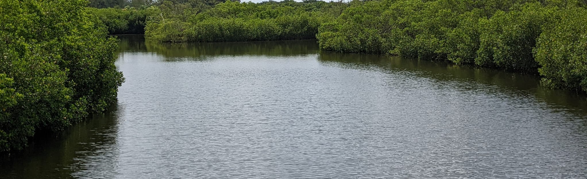 Robinson Preserve Paddle Route: 63 Reviews, Map - Florida | AllTrails