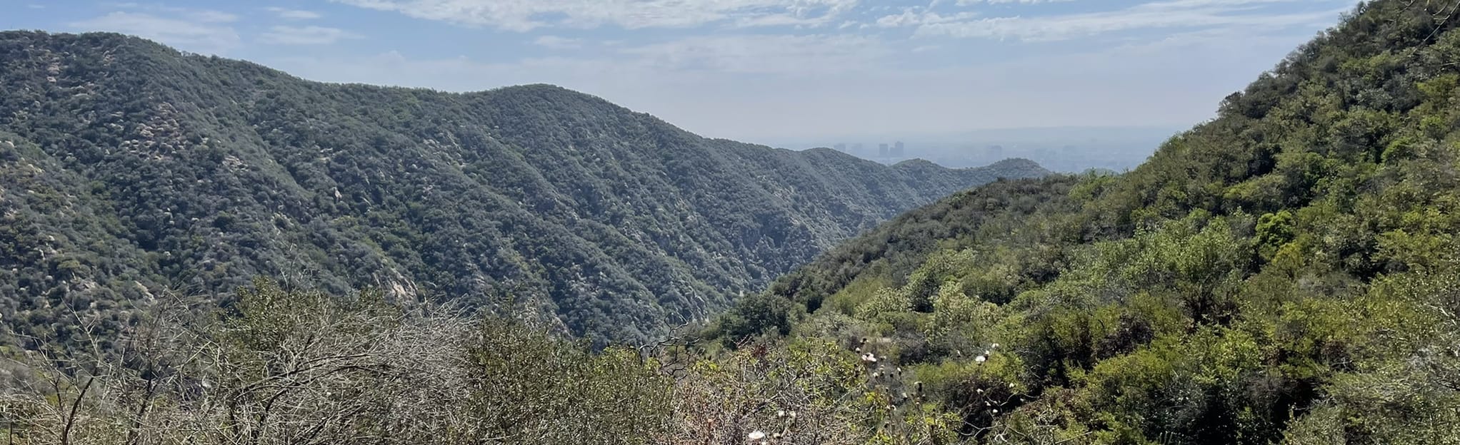 Temescal Ridge to Bienveneda Trail: 157 Reviews, Map - California ...