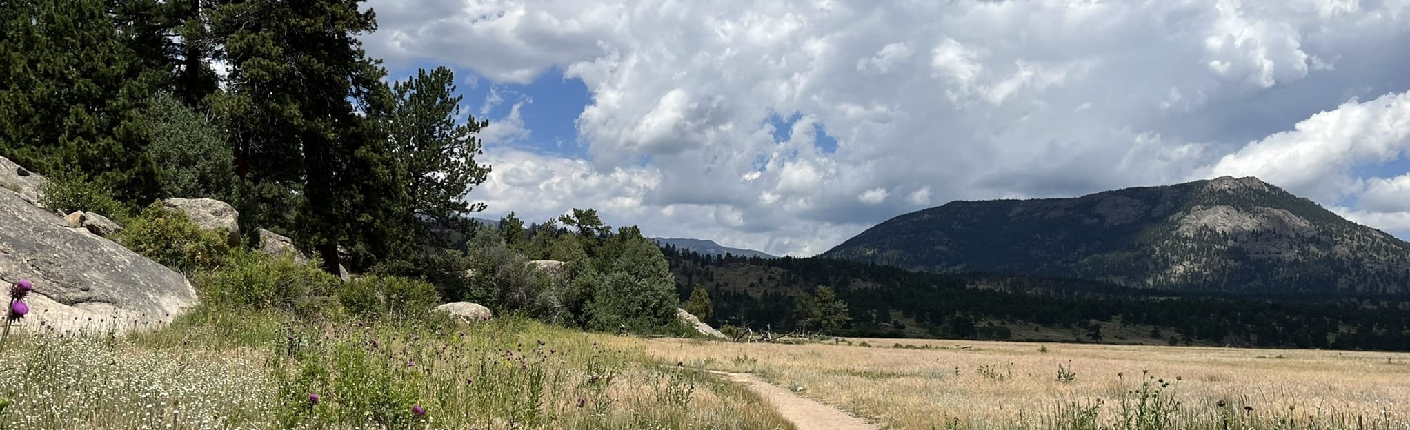 Cub Lake, Mill Creek Basin, and Hollowell Park Trail: 59 Reviews, Map ...