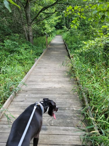 Best Hikes and Trails in Mead State Wildlife Area | AllTrails