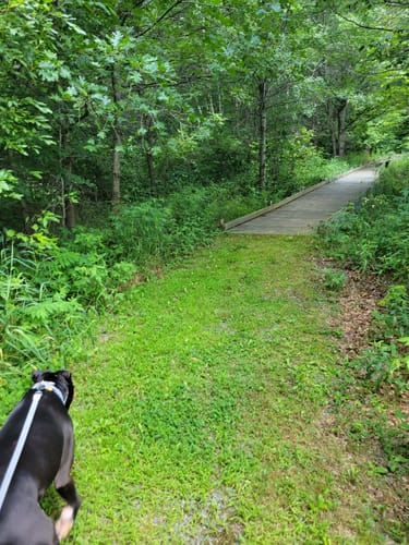 Best Hikes and Trails in Mead State Wildlife Area | AllTrails