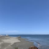 Damon Point State Park Trail, Washington - 466 Reviews, Map | AllTrails
