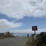Damon Point State Park Trail, Washington - 466 Reviews, Map | AllTrails