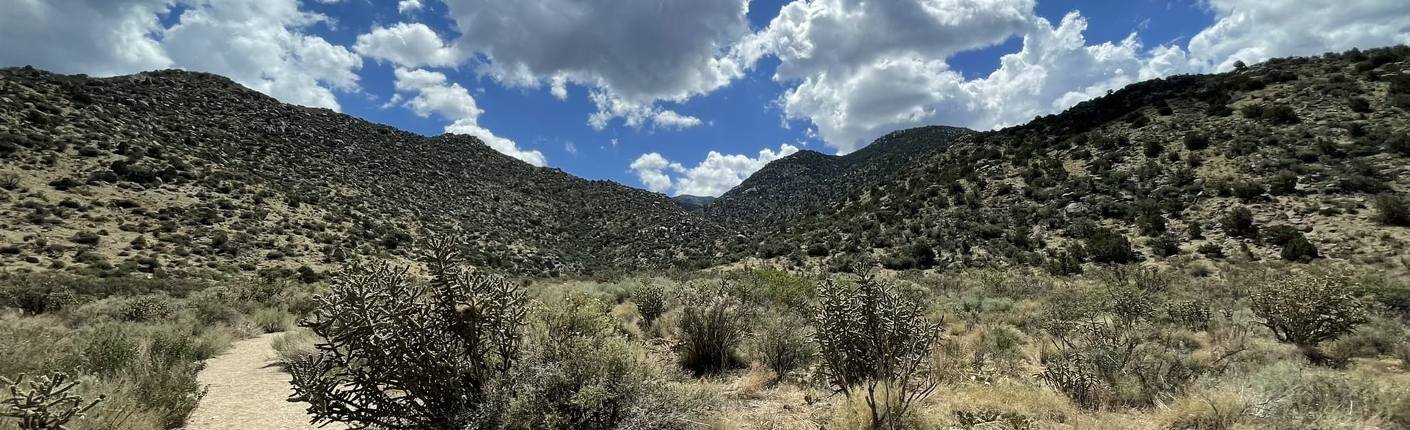 Embudito Canyon Trail, New Mexico - 501 Reviews, Map | AllTrails