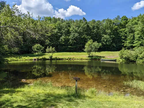 Best 10 Hikes and Trails in Cardigan Mountain State Park | AllTrails