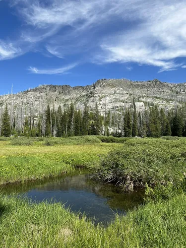 Best Walking Trails in Pollock | AllTrails