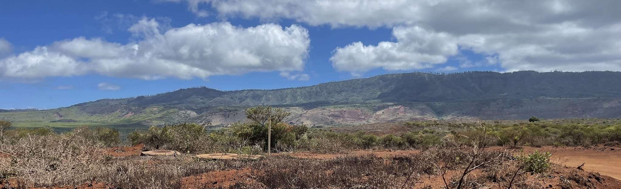 Munro Trail, Lanai, Hawaii - 24 Reviews, Map | AllTrails