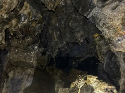 Best Hikes and Trails in Cody Caves Provincial Park | AllTrails