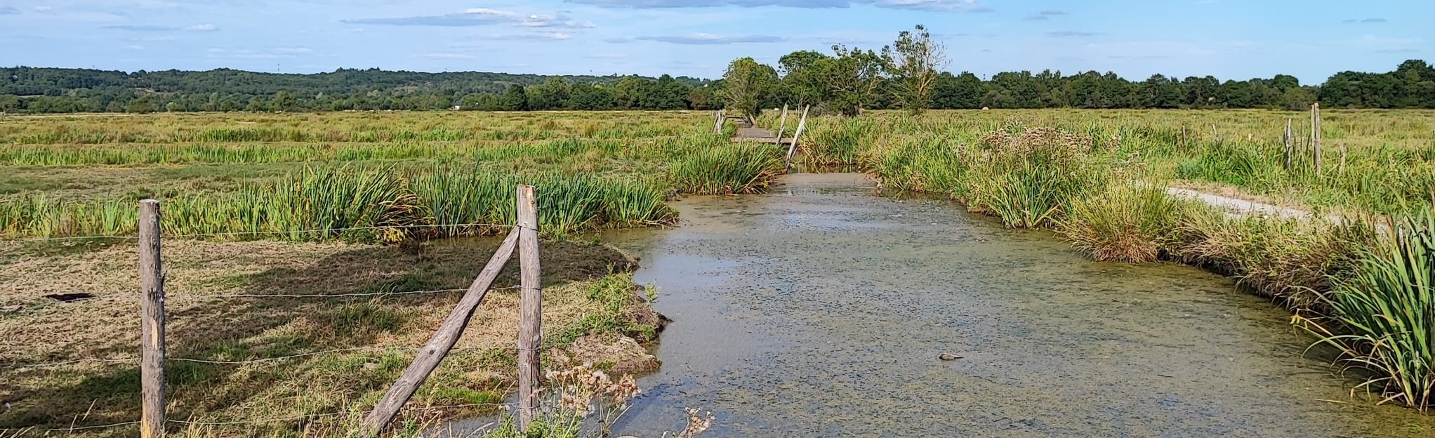 Savenay - Lac de la Vallée Mabile - Le Fresnier, Loire-Atlantique ...