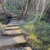 Trachyte Circuit, Queensland, Australia - 226 Reviews, Map | AllTrails