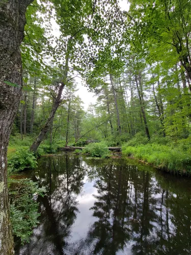 Best River Trails in Bear Brook State Park | AllTrails