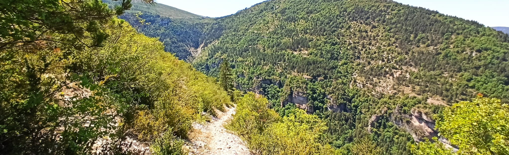 Balcons des Gorges du Tarn: 59 bilder – Lozère, Frankrike | AllTrails