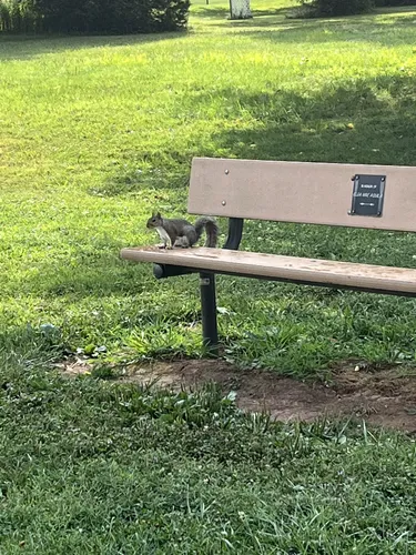 Best Hikes and Trails in Cousler Park | AllTrails